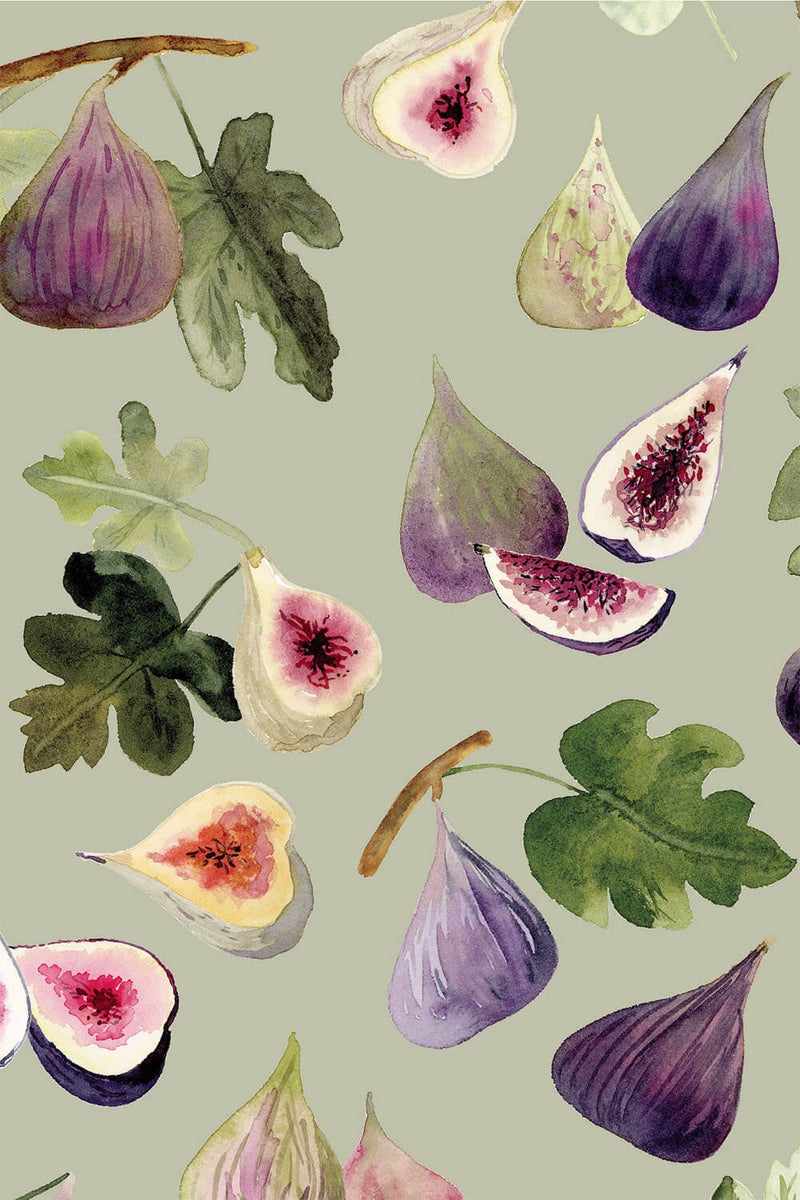 figs illustrated wrapping paper unique gift wrap from wallflower ...